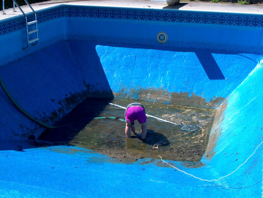 Your Pool Can Either Be An Attraction Or A Distraction. Professional ...